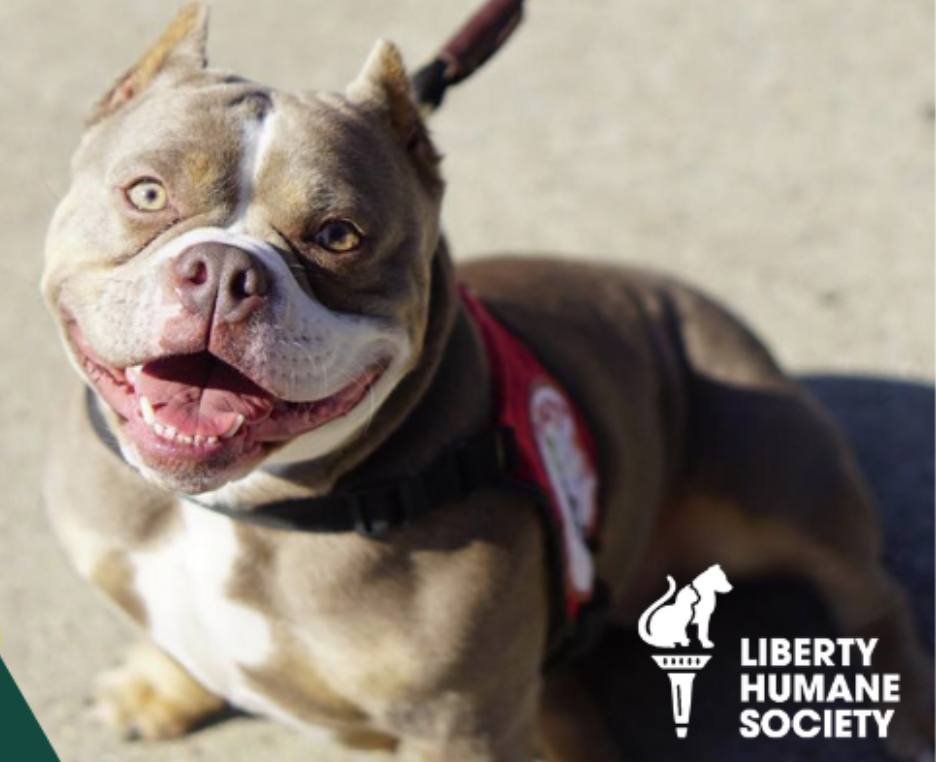 Fostering and Adoption Resources in Jersey City, NJ